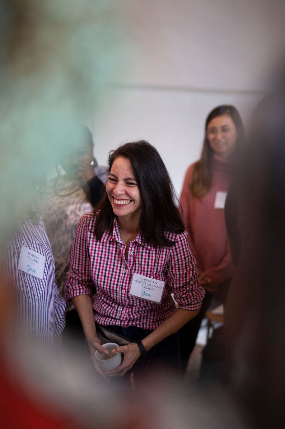 Spring Collaboration | Spring Strategies